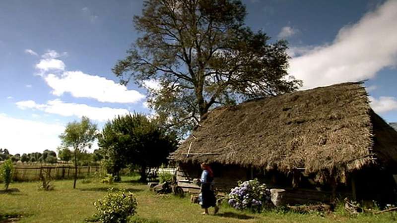 Chile's Mapuche Culture Echoes India's Vedic Traditions - Center for ...