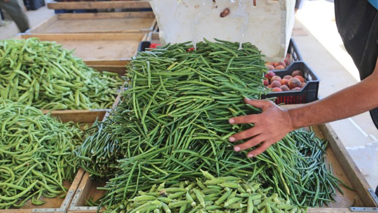 India is Culturally the Richest in the World, Possibly the World's Next ...