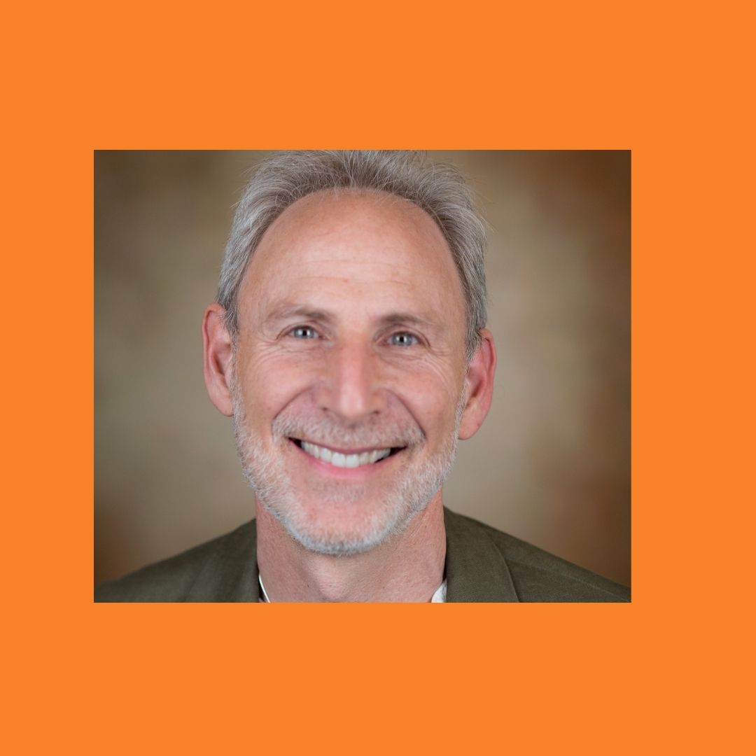 My Vision is of a Society Where the Public has Access to Ayurvedic ...